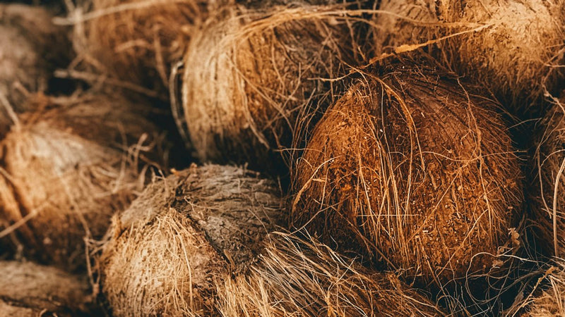 Coco-caprylate - What It Is and How It's Made