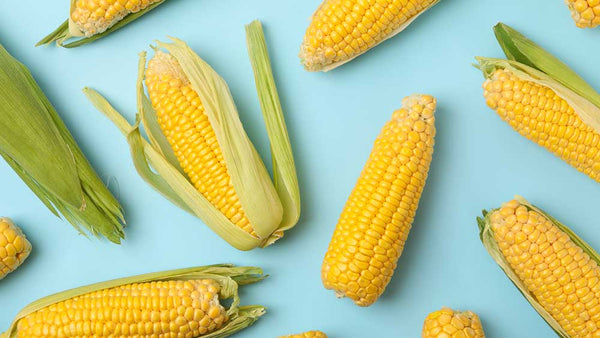 Gluconolactone - What It Is and How It's Made