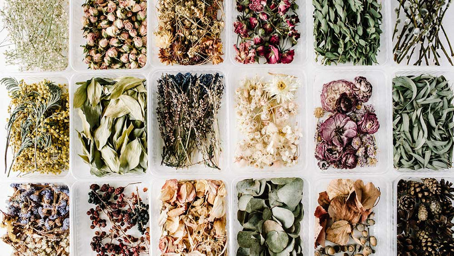 What is Pectinase and How It's Made | Puracy