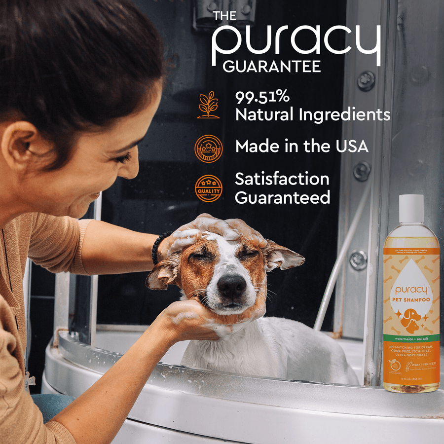 Reasons to Consider Using Pet Safe Cleaning Products
